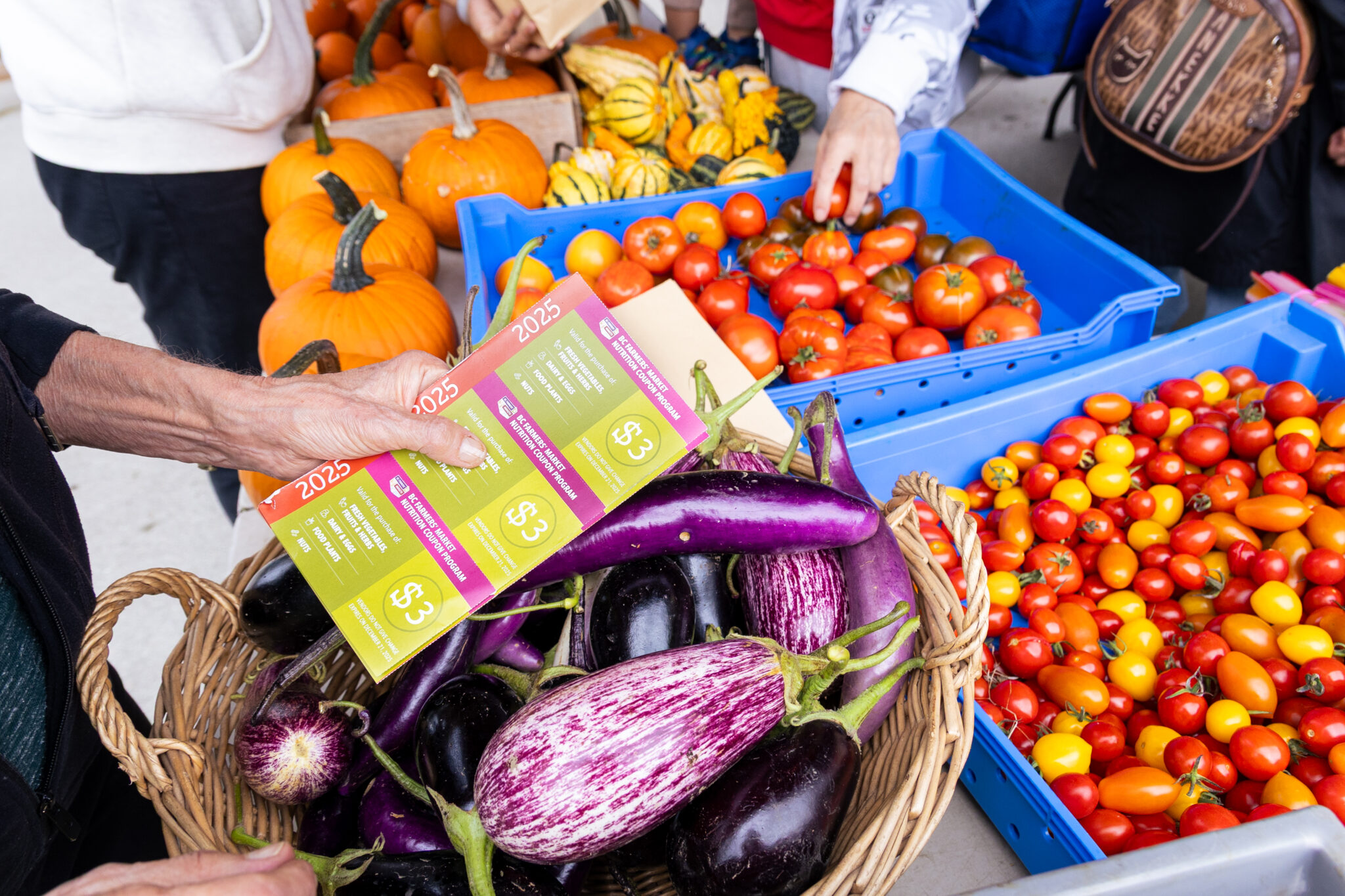 Fair Wages for Farmers, Fresh Food for All: Nutrition Coupon Programs ...