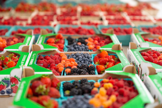 Experience Vancouver with Berries and Soccer « Vancouver Farmers Market